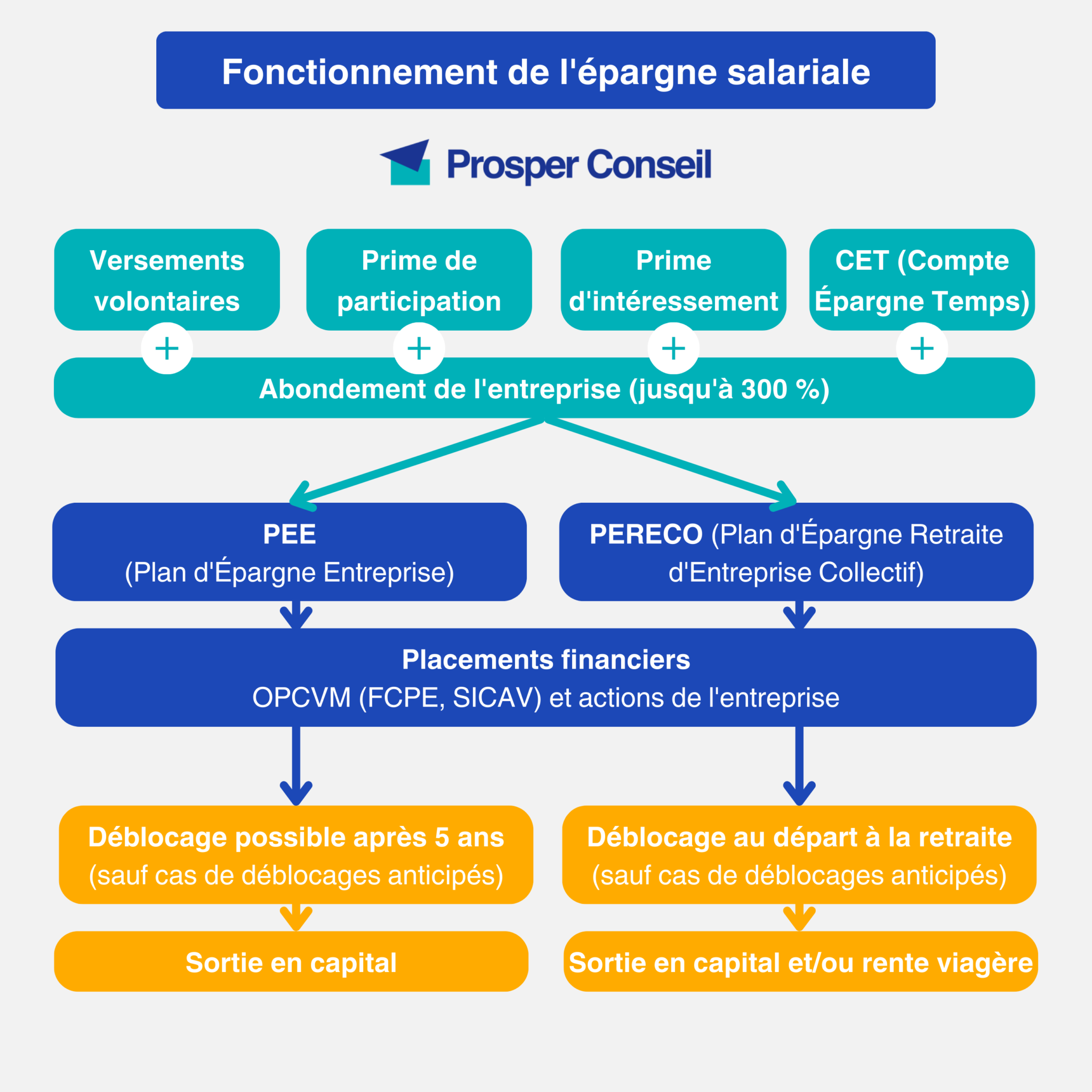 Que faire de son épargne salariale ? - Prosper Conseil